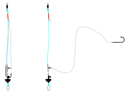 Thornback Ray | British Sea Fishing