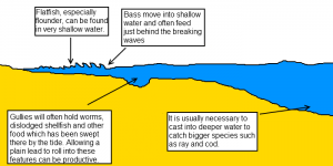 Beach Fishing | British Sea Fishing