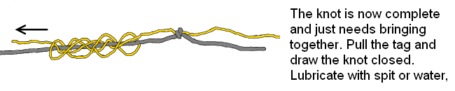 Mainline to Shockleader Knot | Britishseafishing.co.uk