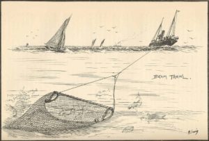 Pulse Trawling | British Sea Fishing