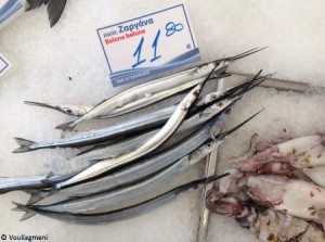 Garfish | British Sea Fishing