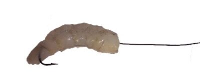 Prawns as Bait | British Sea Fishing