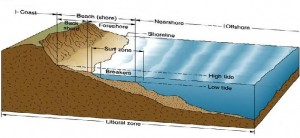Beach Cross Section Diagram | British Sea Fishing