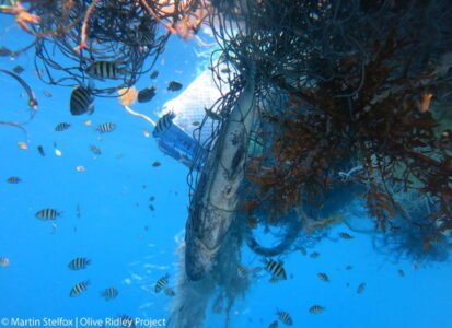 Ghost Nets | British Sea Fishing