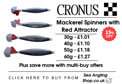 Razorfish | British Sea Fishing