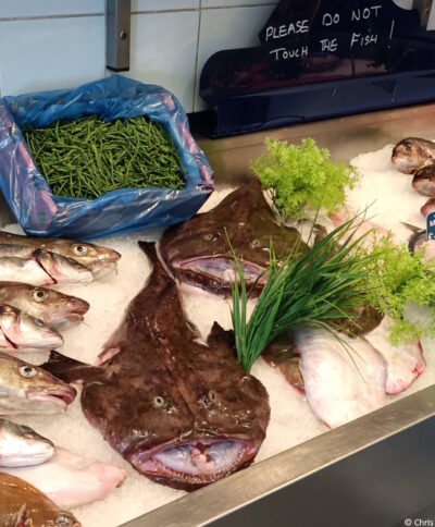 Monkfish | British Sea Fishing